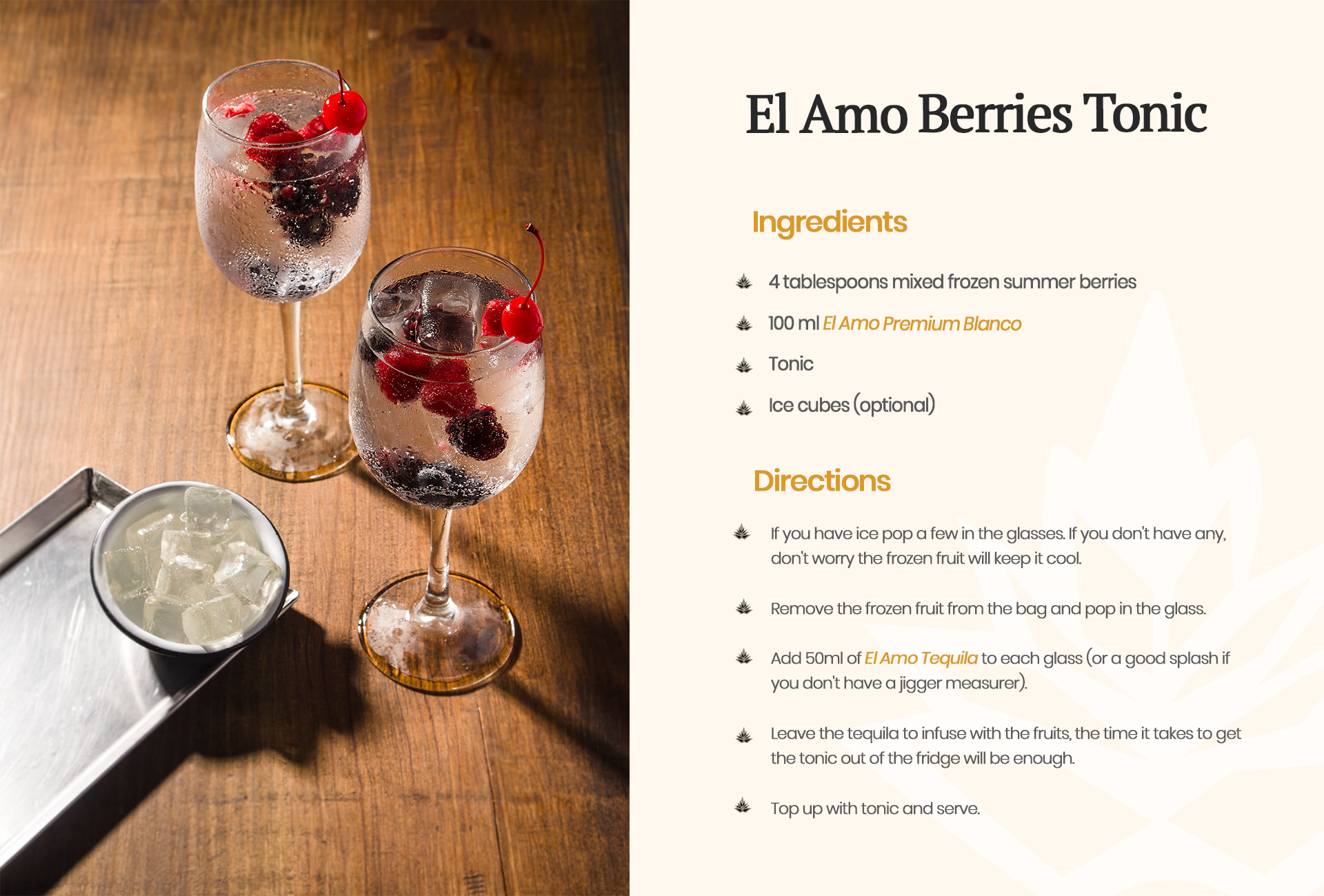 Recipes El Amo Tequila 9280